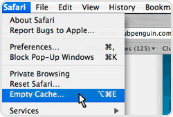 Browser Topics – That Penguin Game